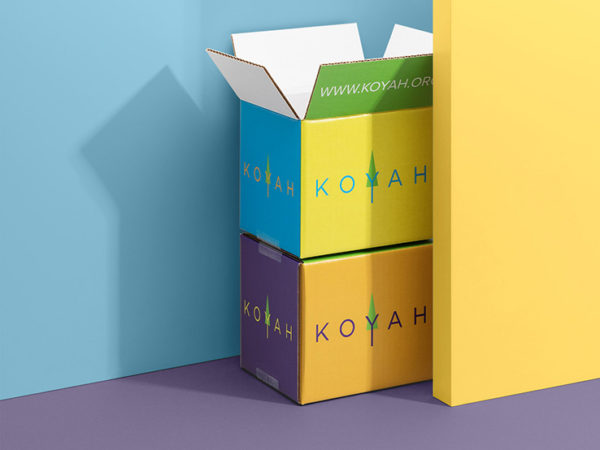 The Complete Guide to Subscription Box Packaging Design | Packlane
